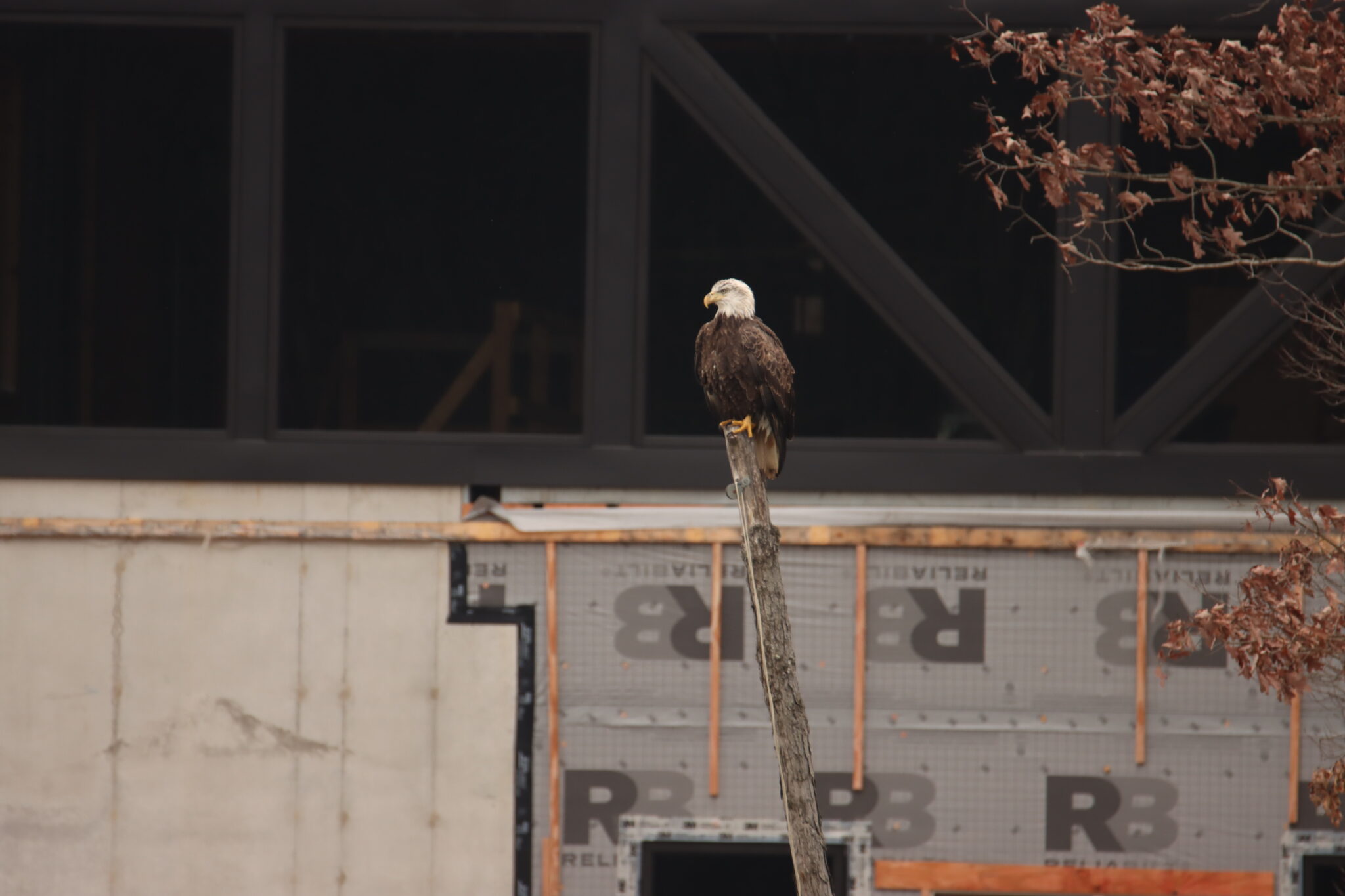 An Eagle’s Eye View – Servant's Heart Camp